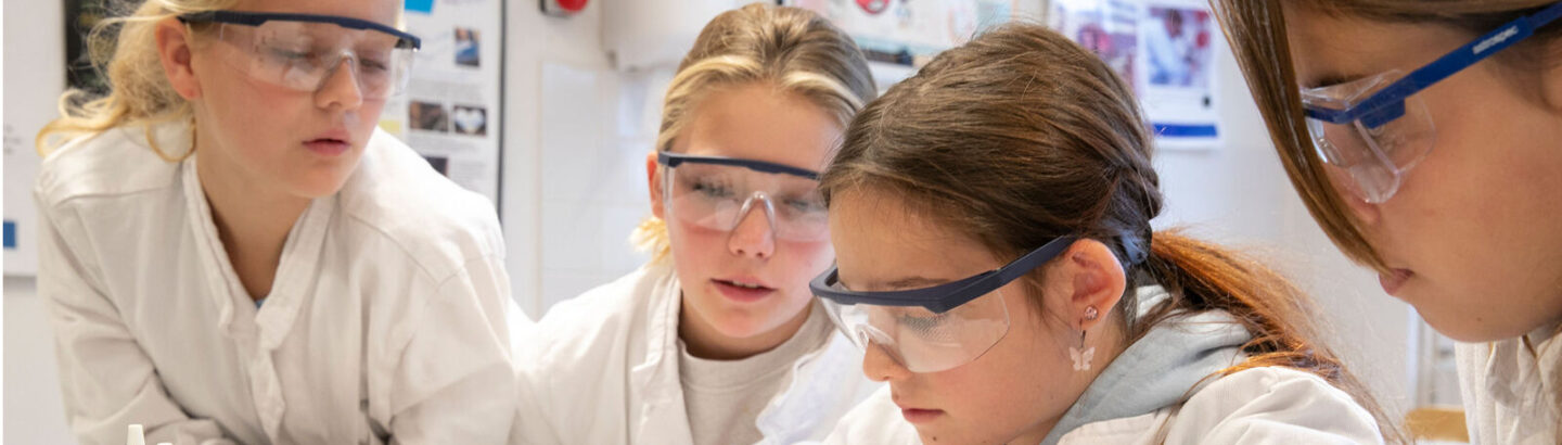 Contact - Durendael | 2College